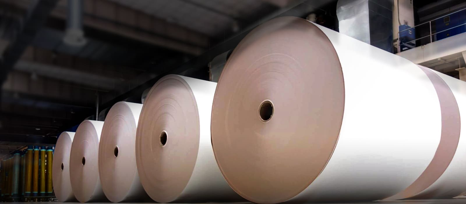 Home Page [www.anika.in]